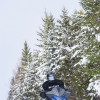 Snowmobile Rentals | The Forks | 201 PowerSports